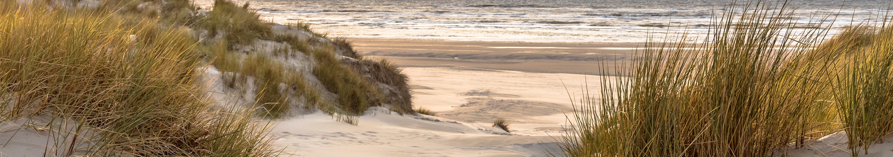 Allianz Life Accumulator indexed universal life | Allianz Life